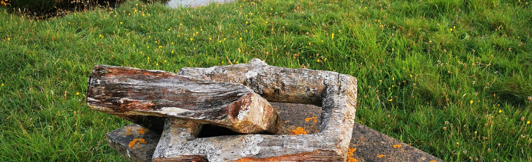 Dunnet Forest Circular, Highlands, Scotland - 7 Reviews, Map | AllTrails