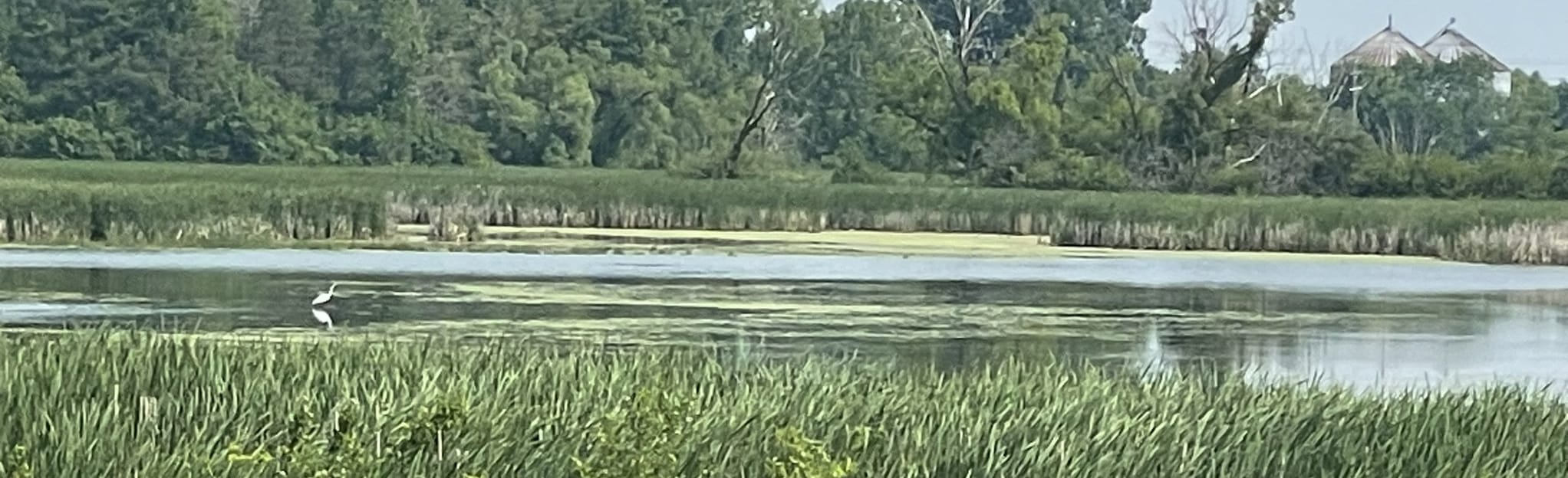Exner Marsh Loop Trail: 13 Reviews, Map - Illinois | AllTrails