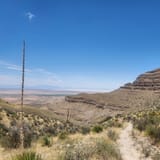 Dog Canyon Trail, New Mexico - 414 Reviews, Map | AllTrails