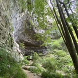 Buggytop Trail to Lost Cove Cave, Tennessee - 711 Reviews, Map | AllTrails