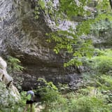 Buggytop Trail to Lost Cove Cave, Tennessee - 711 Reviews, Map | AllTrails