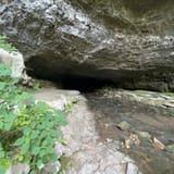 Buggytop Trail to Lost Cove Cave, Tennessee - 711 Reviews, Map | AllTrails