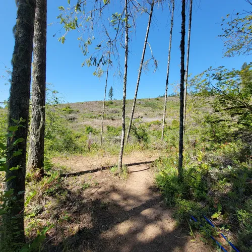 Best Hikes and Trails in Molalla River Corridor Recreation Area | AllTrails