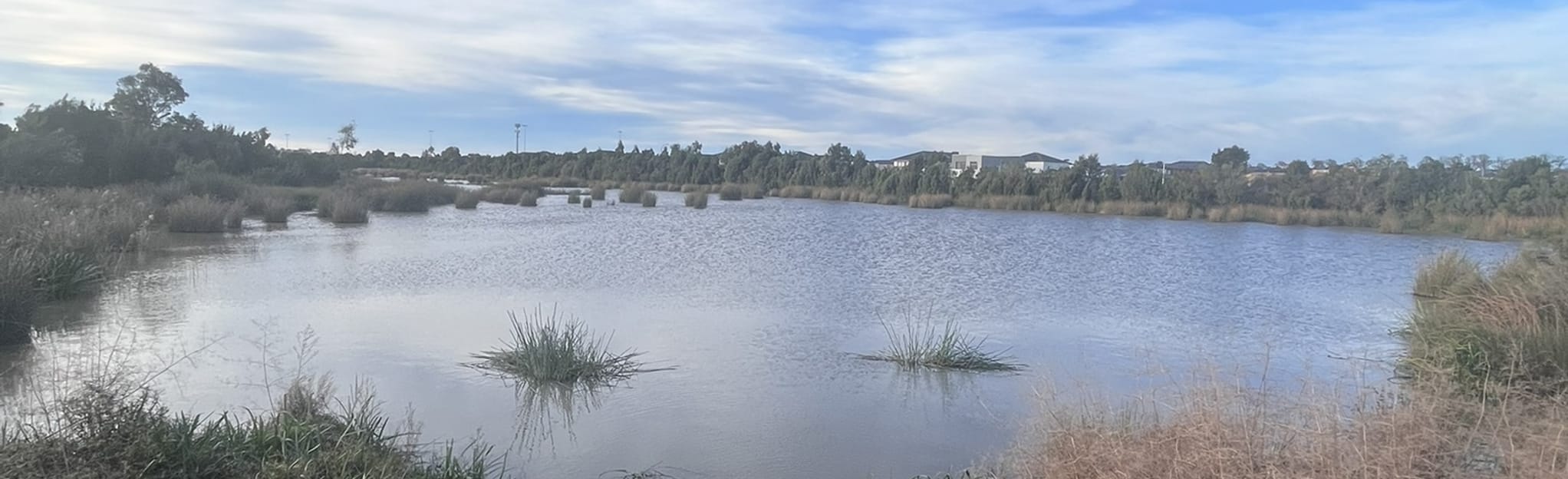 Berwick Springs Wetland Loop: 28 foto's - Victoria, Australië | AllTrails