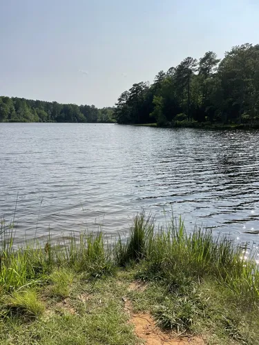 Best Hikes and Trails in Long Cane Scenic Area | AllTrails