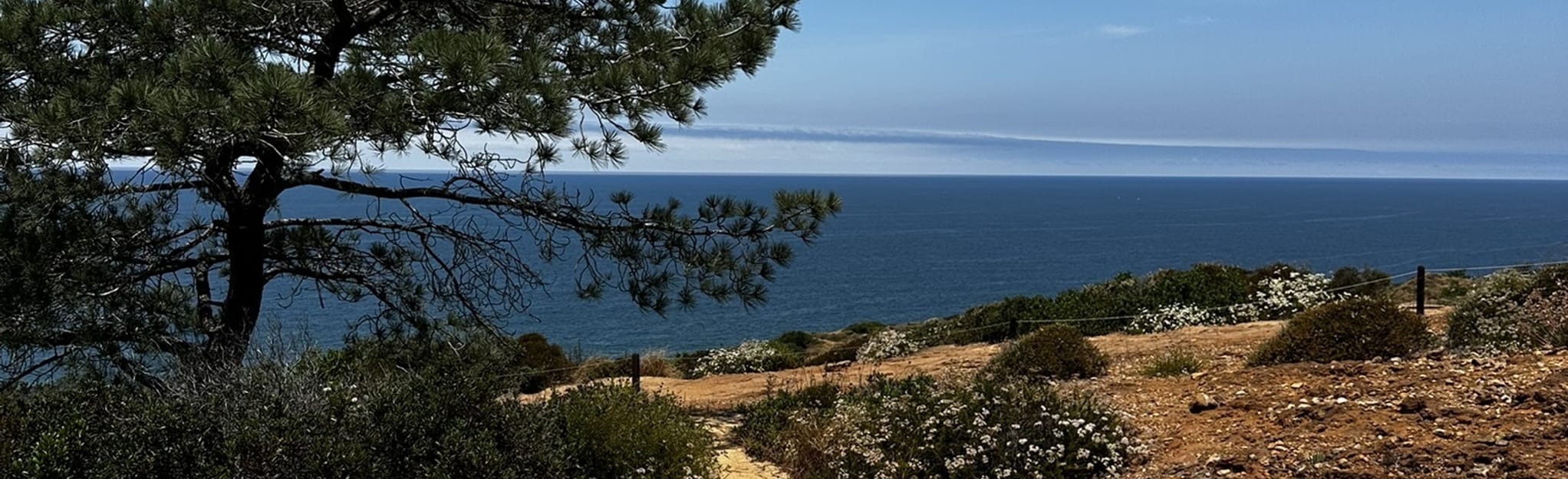 Razor Point Trail, California - 242 Reviews, Map | AllTrails