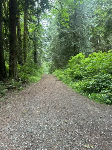 Best Hikes and Trails in John Macdonald Tolt River Park | AllTrails