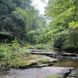 Blue Hole Trail, Tennessee - 133 Reviews, Map | AllTrails