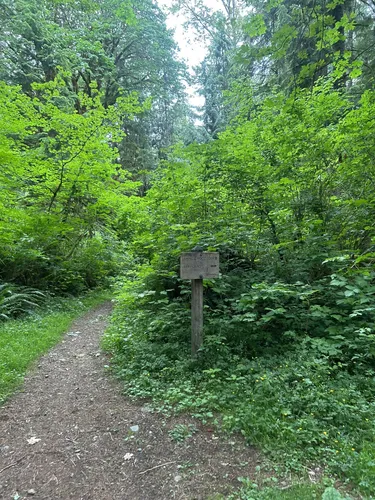 Best Hikes and Trails in John Macdonald Tolt River Park | AllTrails