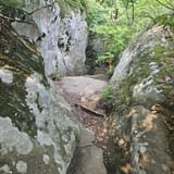 West and East Pinnacle, Kentucky - 1,080 Reviews, Map | AllTrails