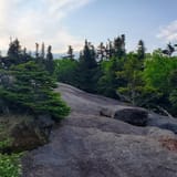 Debar Mountain Trail, New York - 202 Reviews, Map | AllTrails