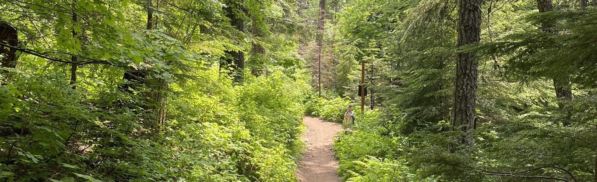 Mount Spokane Trail 100 to Smith Gap, Washington - 36 Reviews, Map ...