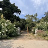 Colby Trail, California - 812 Reviews, Map | AllTrails