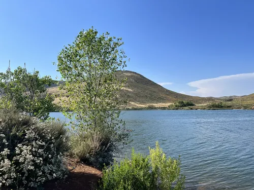 Best Hikes and Trails in Lake Skinner Recreation Area | AllTrails