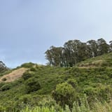 Gerbode Valley Loop, California - 465 Reviews, Map | AllTrails