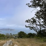 Gerbode Valley Loop, California - 465 Reviews, Map | AllTrails