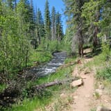 Government Springs 95A, Arizona - 458 Reviews, Map | AllTrails