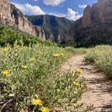 Jones Hole Trail, Utah - 276 Reviews, Map | AllTrails