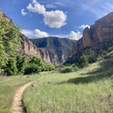 Jones Hole Trail, Utah - 276 Reviews, Map | AllTrails