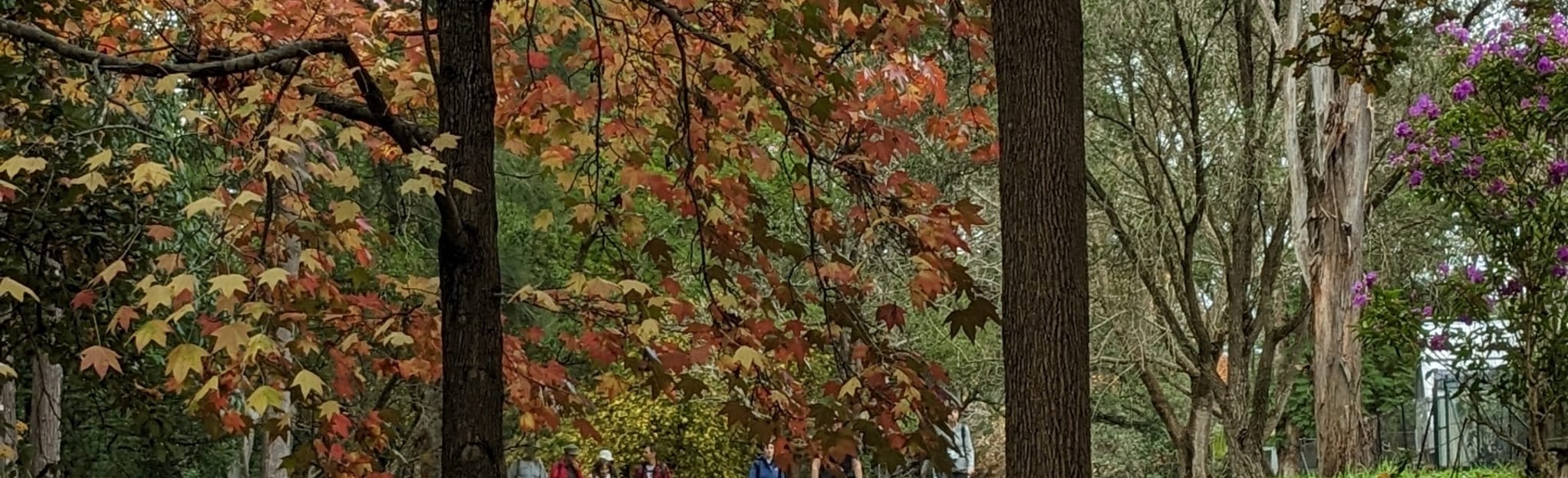 Carlingford to Rydalmere via the Ponds Walk: 48 Reviews, Map - New ...