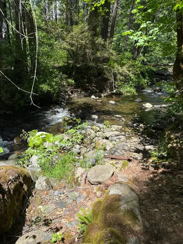 10 Best Fishing Trails in Trinity Alps Wilderness | AllTrails