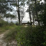 Discovery Trail to Roanoke Trail Red Loop, North Carolina - 370 Reviews ...