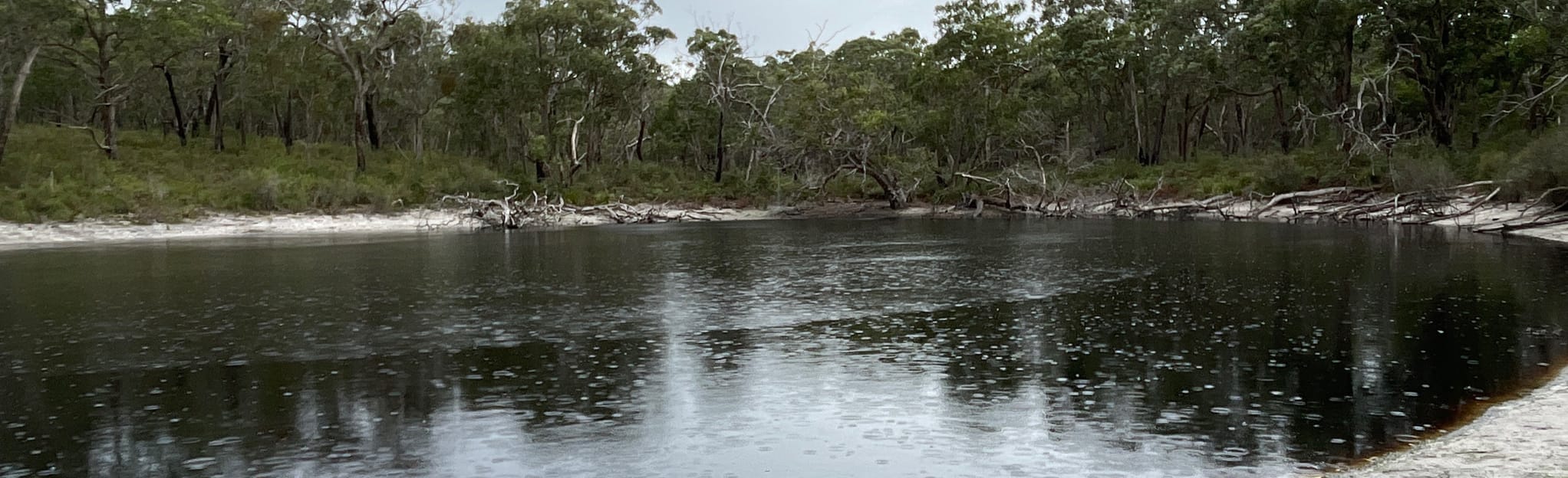 Great South West Walk , Victoria, Australia - 122 Reviews, Map | AllTrails