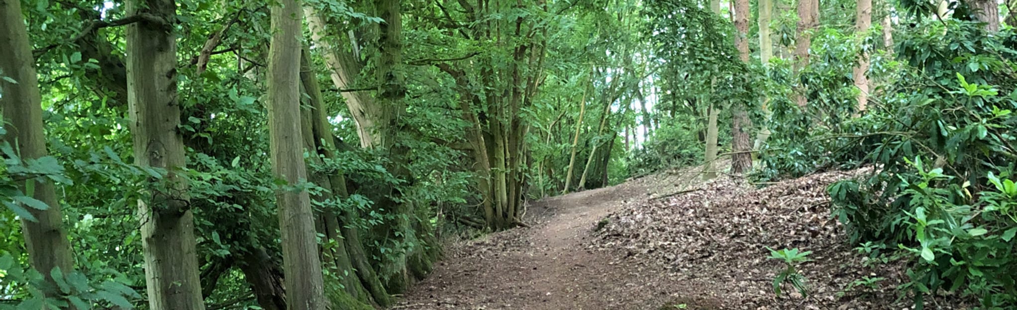 Pimhill Woodland Circular: 13 Fotos - Shropshire, England | AllTrails