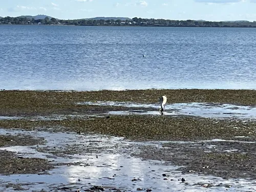 Best Hikes and Trails in King Island Conservation Park | AllTrails