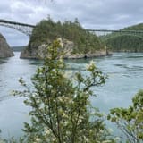 Lighthouse Point and Lottie Point Loop Trail, Washington - 487 Reviews ...