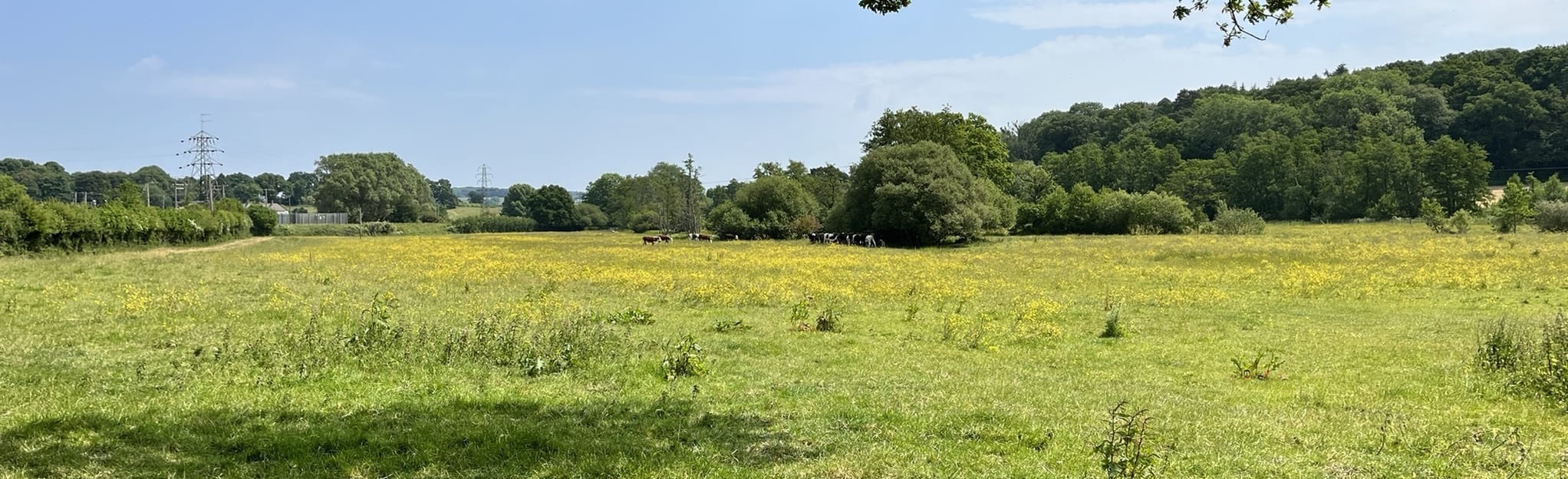 Mottisfont Estate Walk, Hampshire, England - 73 Reviews, Map | AllTrails