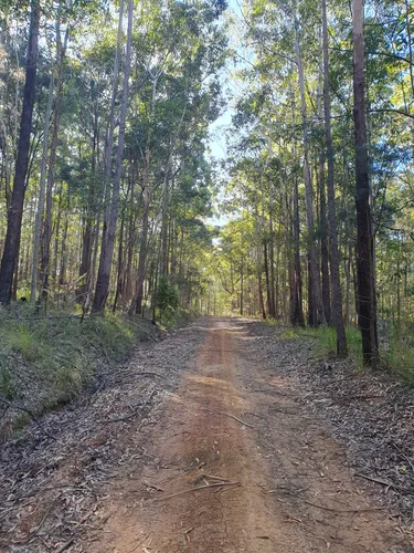 Best 10 Hikes and Trails in Jilliby State Conservation Area | AllTrails