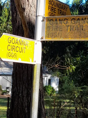 2023 Best Wild Flowers Trails in Burradoo | AllTrails