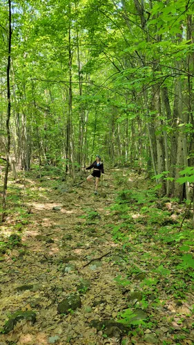 2023 Best Historic Site Trails in Rigaud | AllTrails