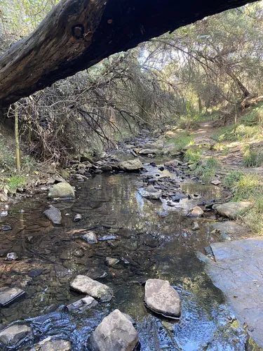 2023 Best River Trails in Centurion | AllTrails