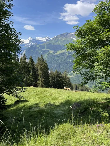 2023 Best 10 Trails and Hikes in Wengen | AllTrails