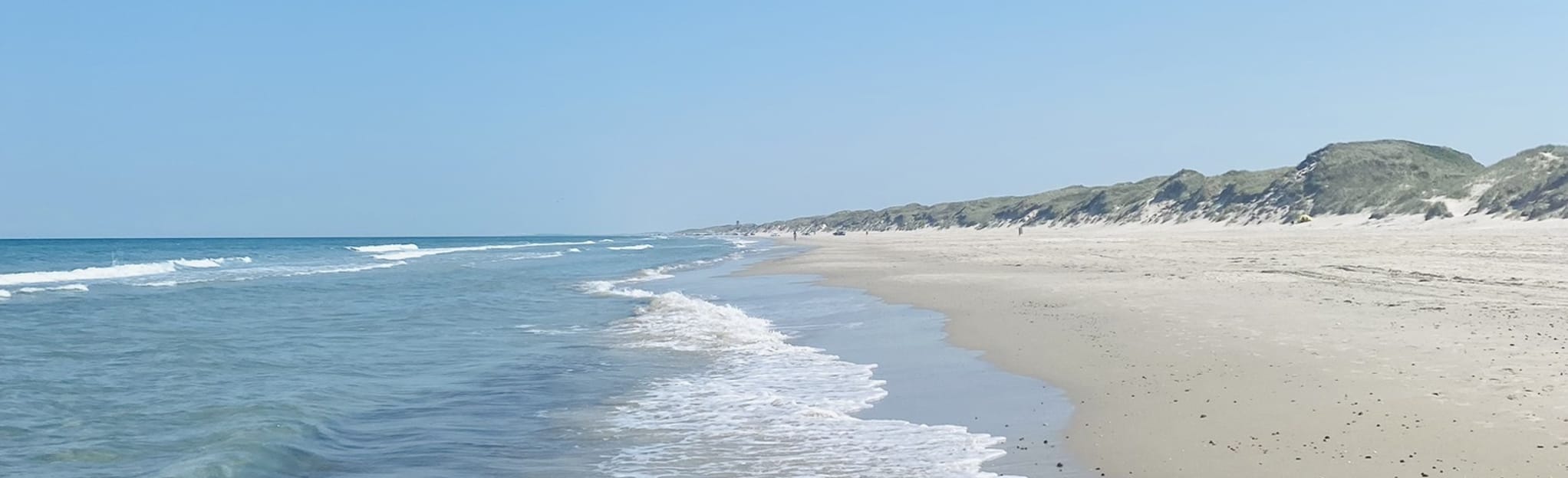 Blokhus - Rødhus - Blokhus Klitplantage: 8 Reviews, Map - North Denmark ...