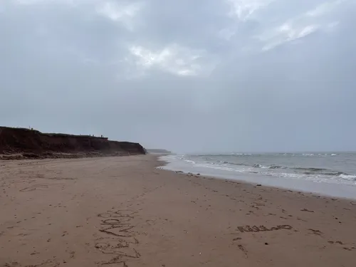 Best Beach Trails in Darnley | AllTrails