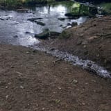 Beamish Park and Causey Arch Circular, County Durham, England - 364 ...