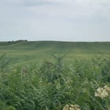 Beamish Park and Causey Arch Circular, County Durham, England - 364 ...