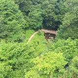 Beamish Park and Causey Arch Circular, County Durham, England - 383 ...