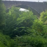 Beamish Park and Causey Arch Circular, County Durham, England - 364 ...
