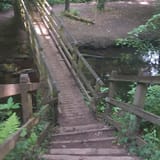 Beamish Park and Causey Arch Circular, County Durham, England - 364 ...
