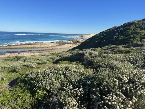 10 Best Trails and Hikes in Port Elizabeth | AllTrails