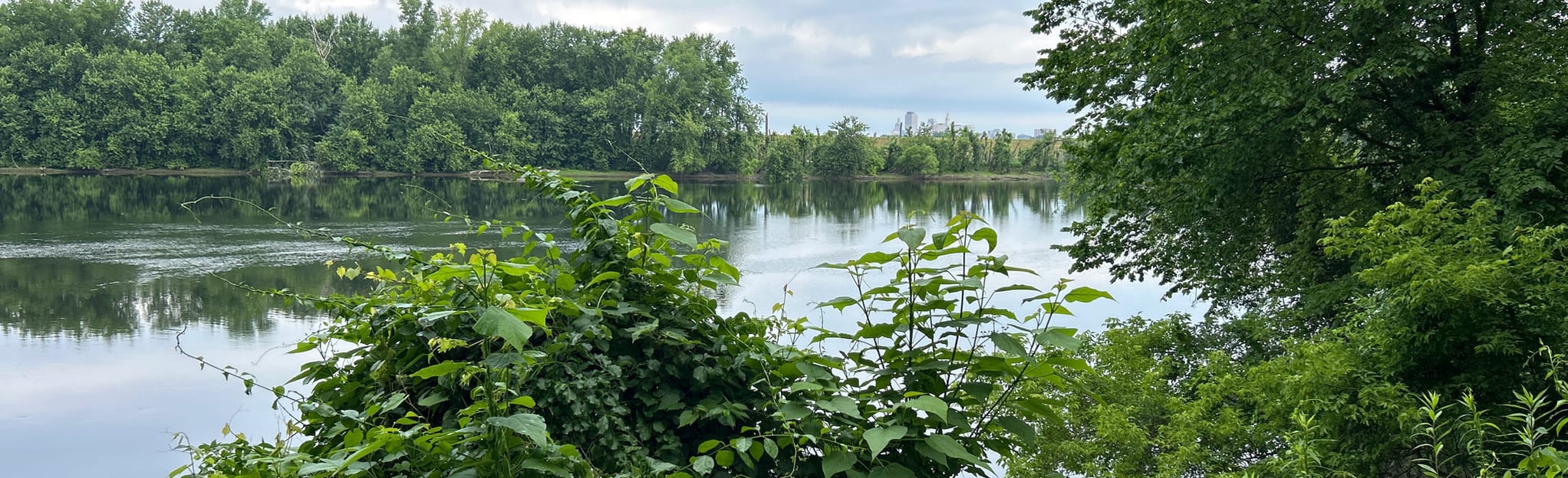 South Meadows River Trail : 28 photos - Connecticut | AllTrails