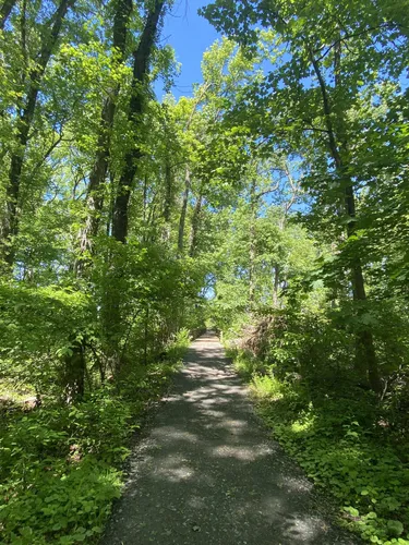 Best Hikes and Trails in North Point State Park | AllTrails