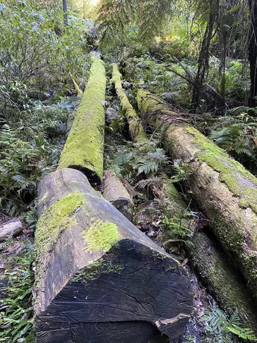 Best Hikes and Trails in Kianga | AllTrails