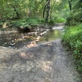 Cedar Ridge Trail Loop, North Carolina - 660 Reviews, Map | AllTrails