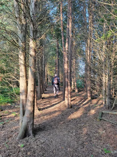 Best Hikes and Trails in Fingal Wildlife Management Area | AllTrails