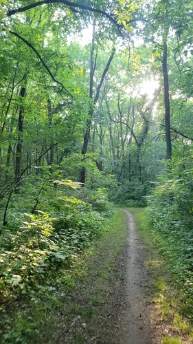 2023 Best Walking Trails in George Wyth State Park | AllTrails